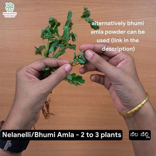 Nela nelli kashaya | Bhumi amla benefits | Phyllanthus niruri | Home ...